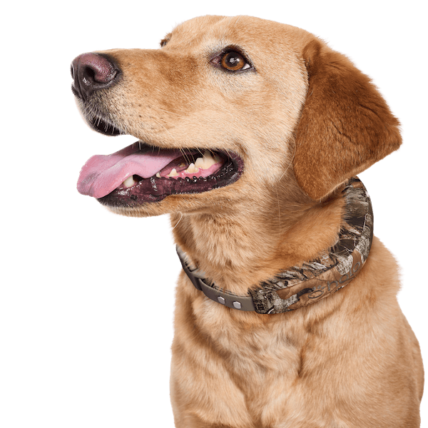 Vixel - High-Impact 3D Product Visuals